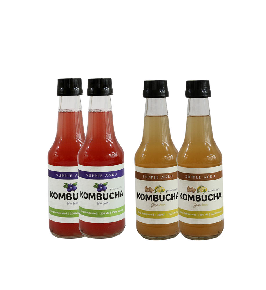 Immunity Kombucha Pack 250ML X 4 - Farm Fresh Products | Food Products ...