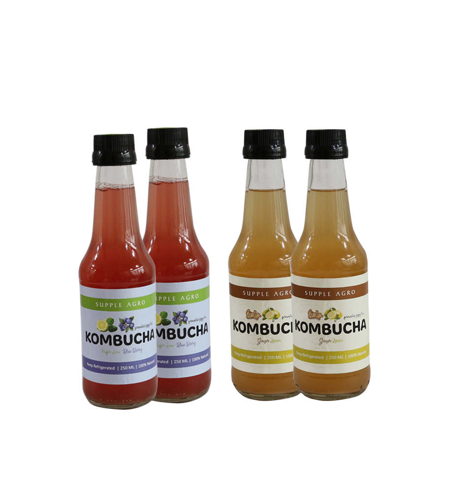 Gut Health Kombucha Pack 250ML X 4 - Farm Fresh Products | Food ...
