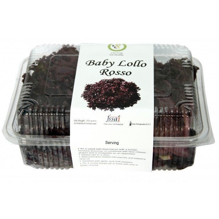 Hydroponics – Microgreens - Supple Agro