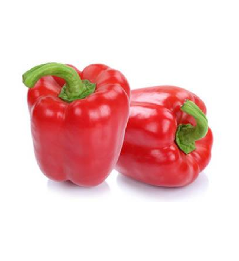 Bell Pepper (Red) - Farm Fresh Products | Food Products Supplier ...