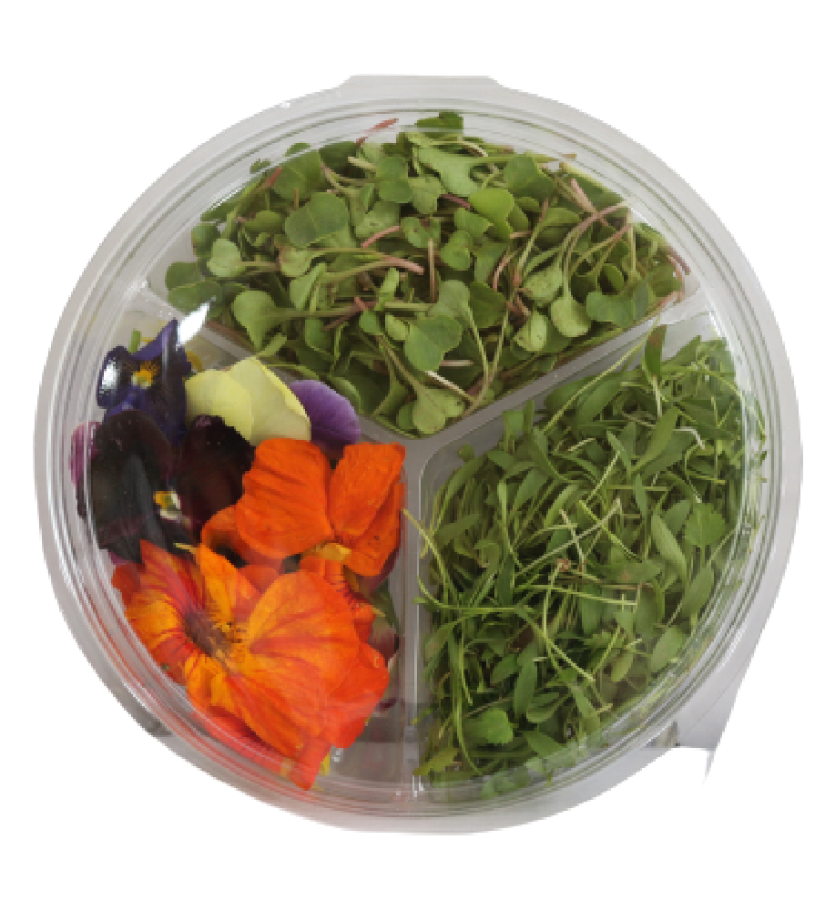 Garnish Box - Farm Fresh Products | Food Products Supplier | Supple ...