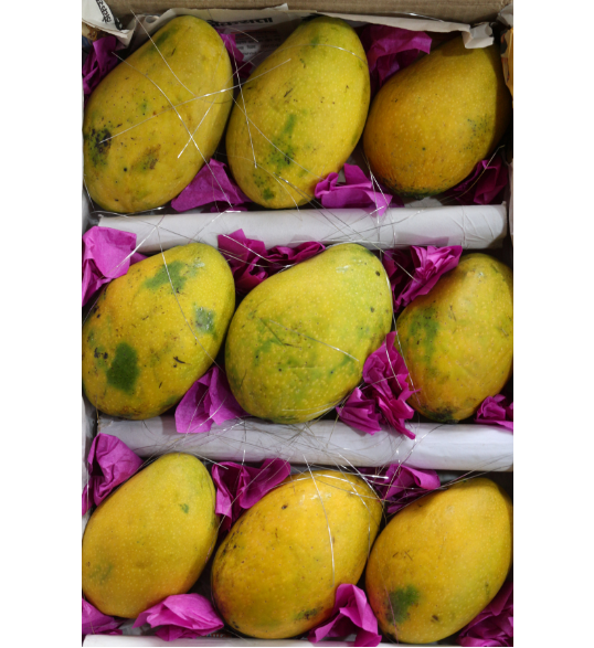 Buy Mango Hamam Ripe 3kg Online- Supple Agro Microgreens- Delhi NCR ...
